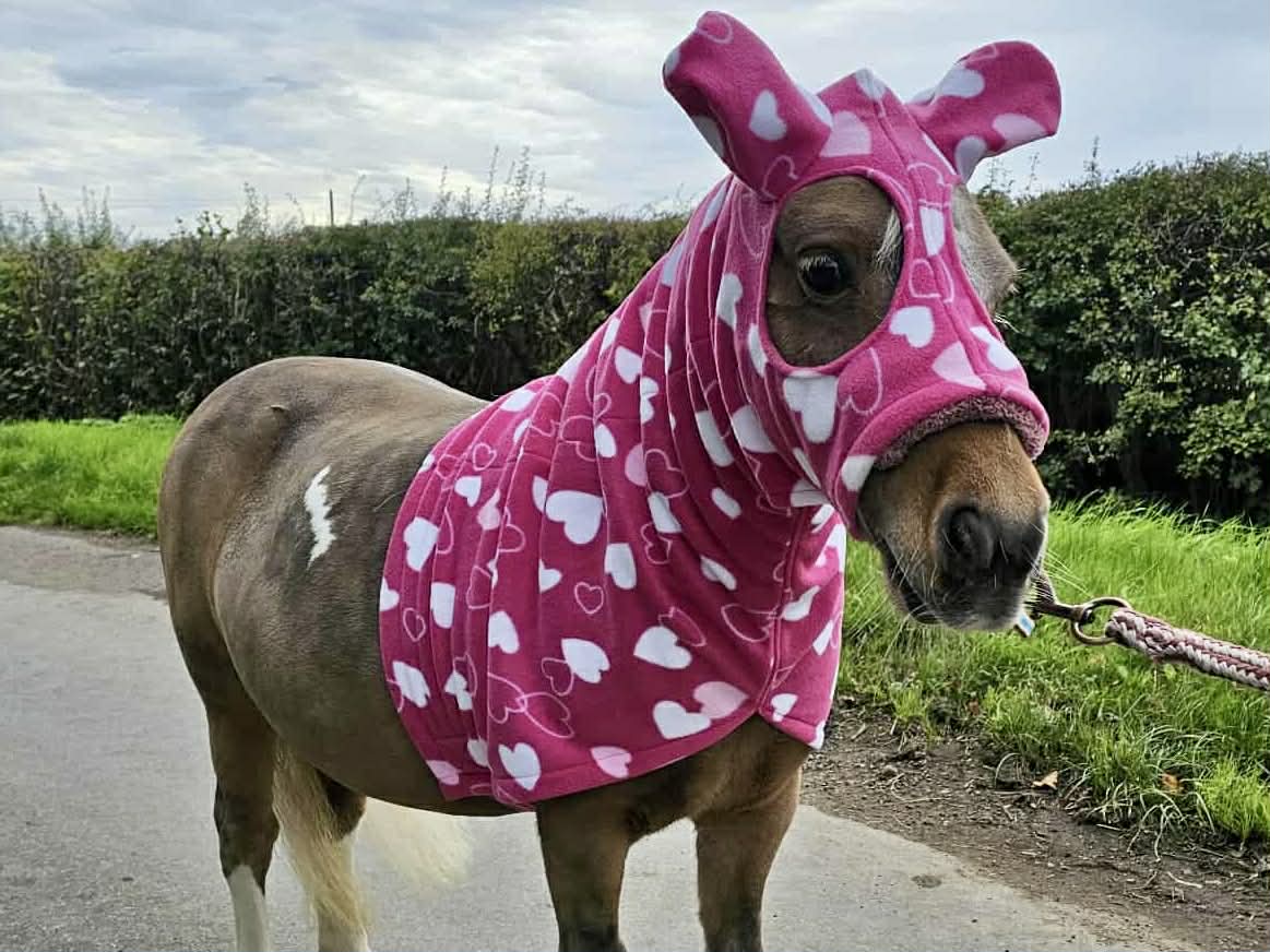 Full Face Fleece Hoods - Patterns – Dreamchaser Equestrian
